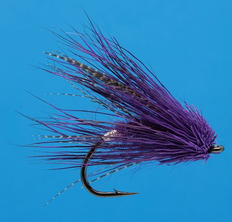 MS Muddler Purple , Fly Fishing Shop: Thomas and Thomas, Scott Fly Rods ...