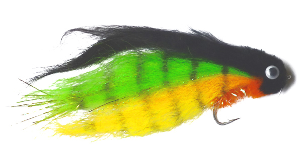Sims' Saltwater Sluggo Black/Chartreuse Fly , Fly Fishing Shop: Thomas ...
